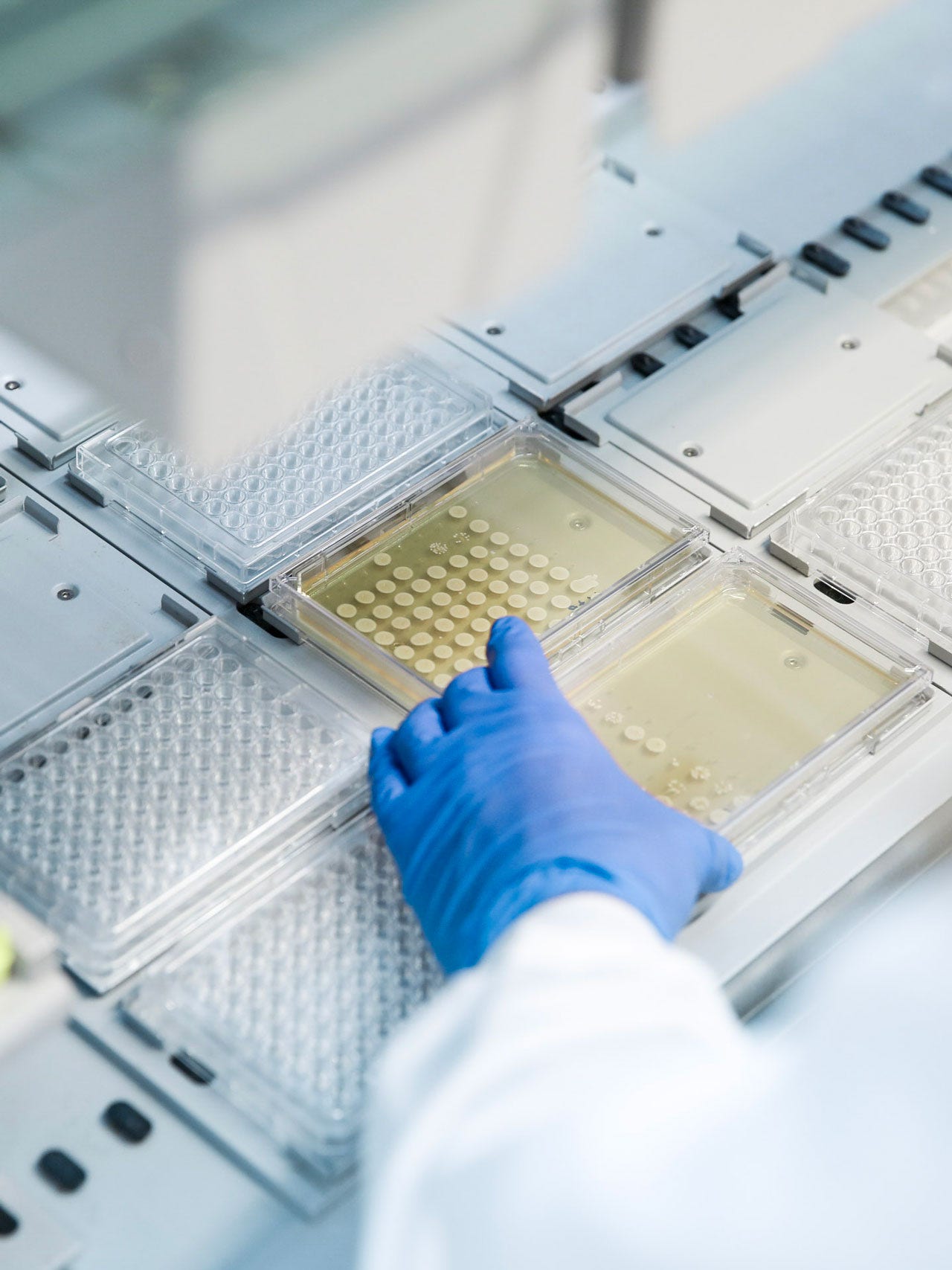 BioNTech: Platforms for cell therapy