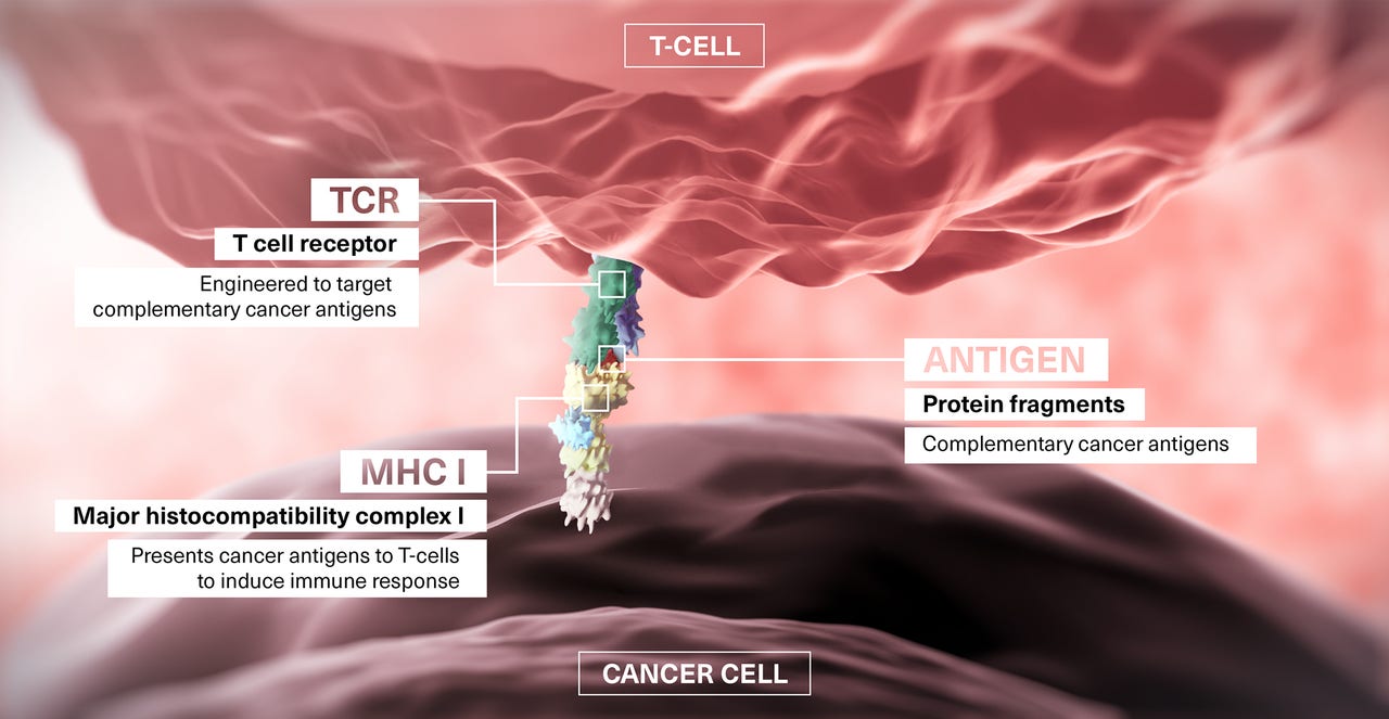 BioNTech | Platforms for Cell Therapy