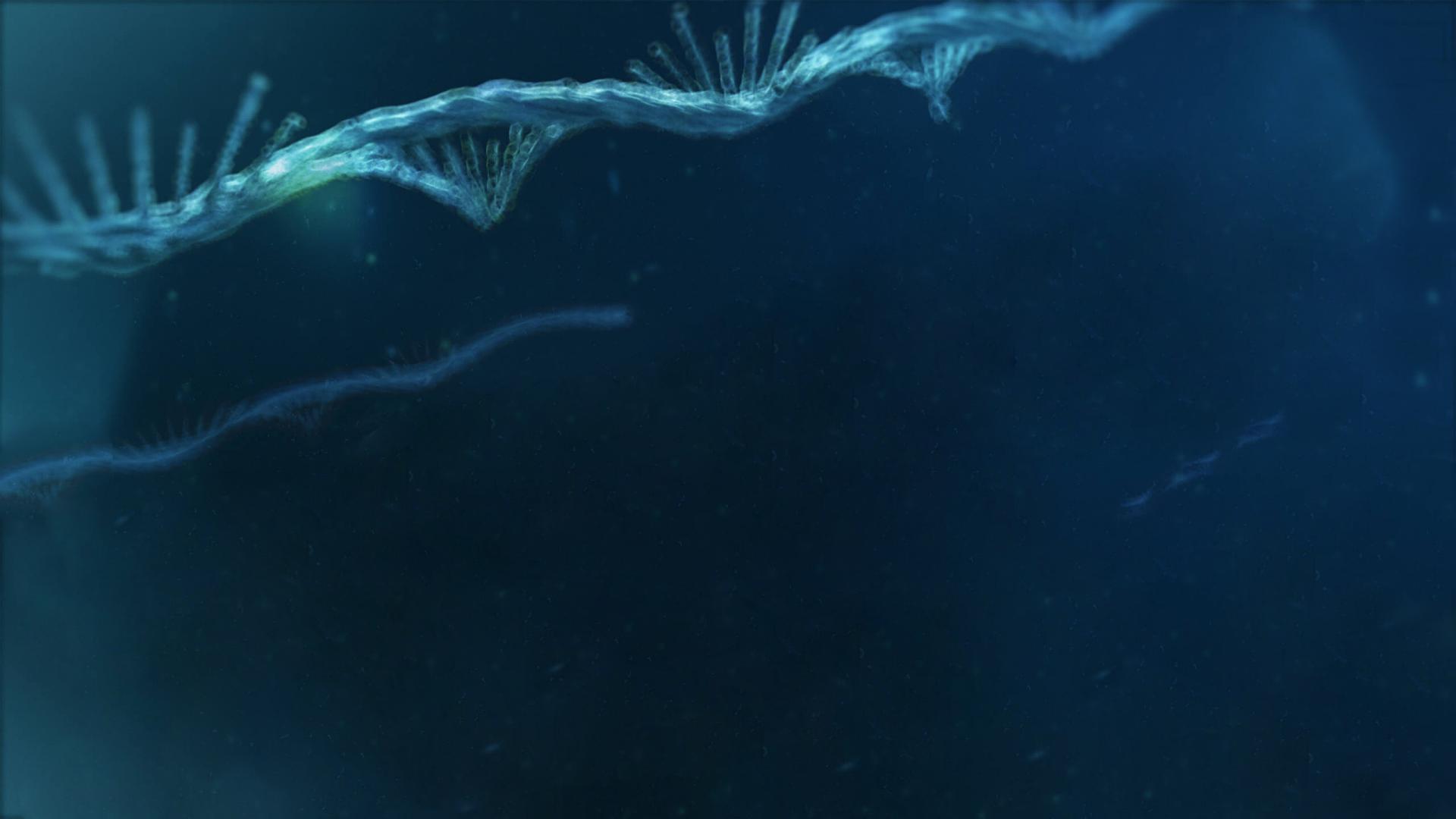 BioNTech | The conception of our mRNA platforms