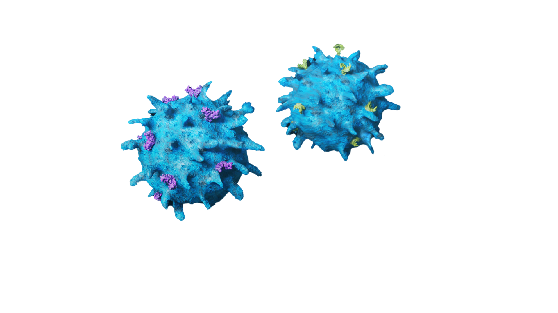 BioNTech | Platforms for Cell Therapy
