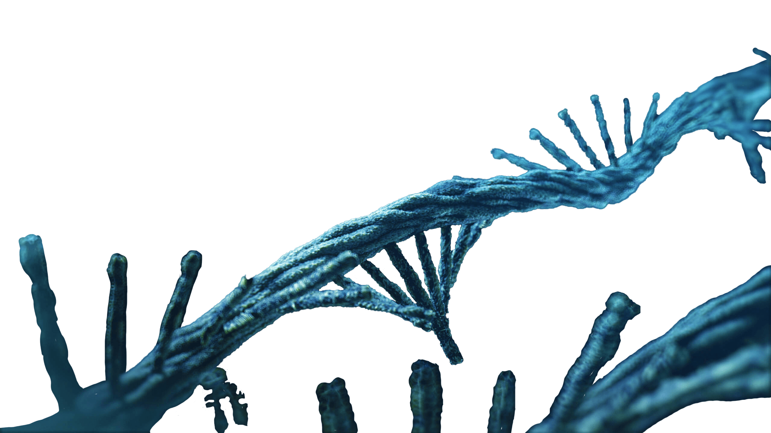 BioNTech | The conception of our mRNA platforms